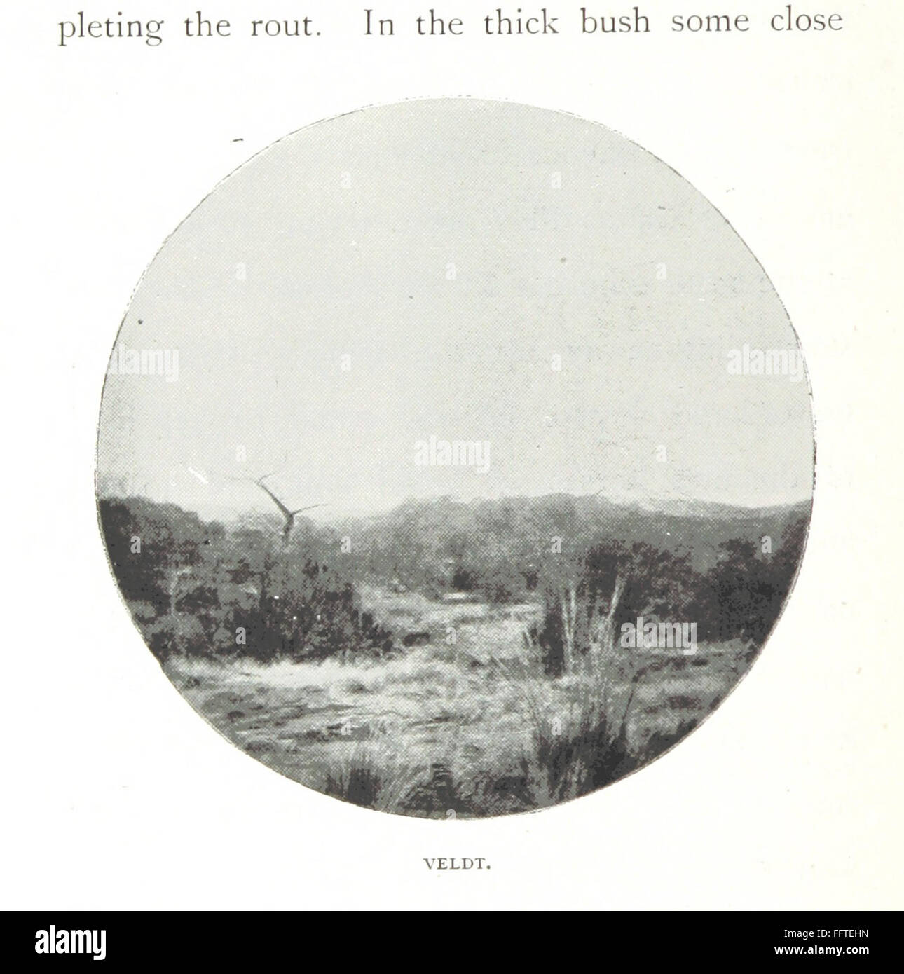 'With Wilson in Matabeleland' recounts the author’s experiences in ...