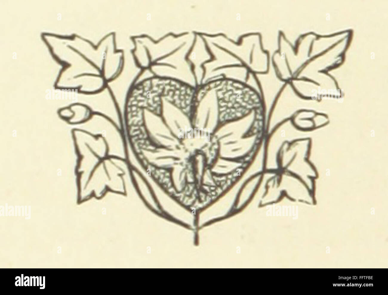 This tale follows a young woman navigating challenges and obstacles as ...