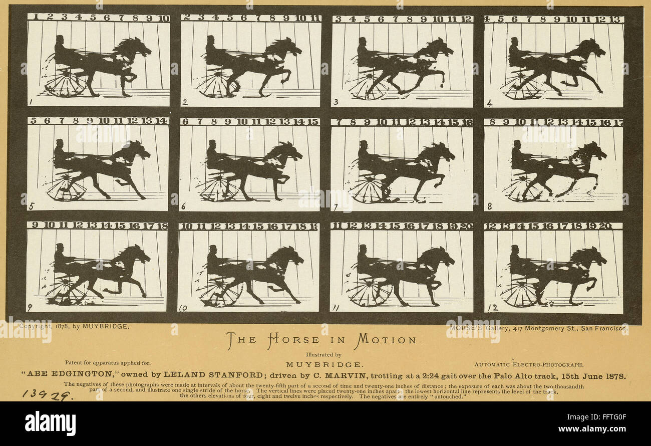 EARLY PHOTOGRAPHY, 1878. /nOne of Eadweard Muybridge's 1878 ...