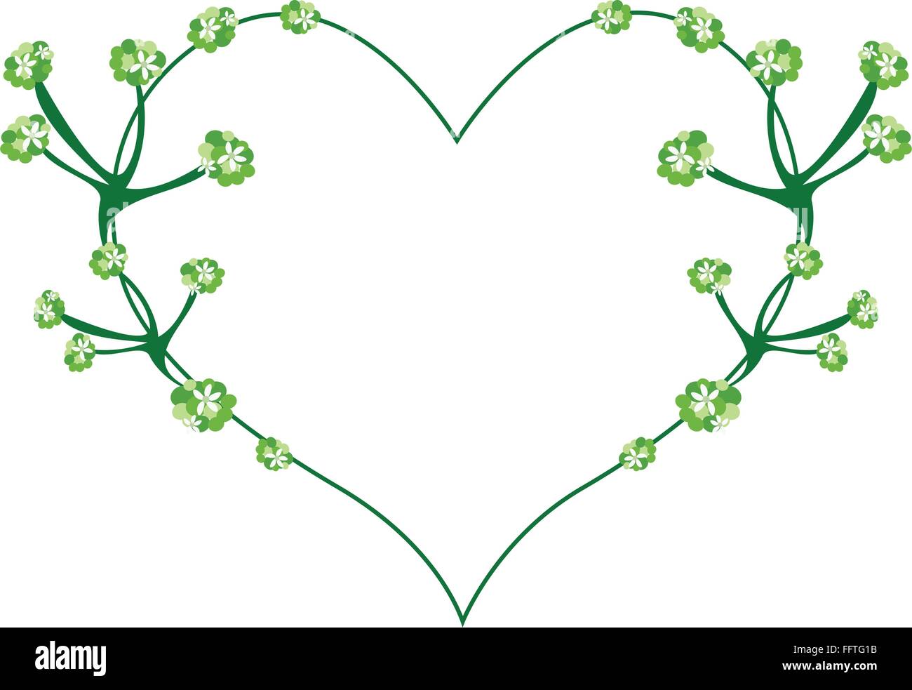 Hydrocotyle umbellata plant Stock Vector Images - Alamy