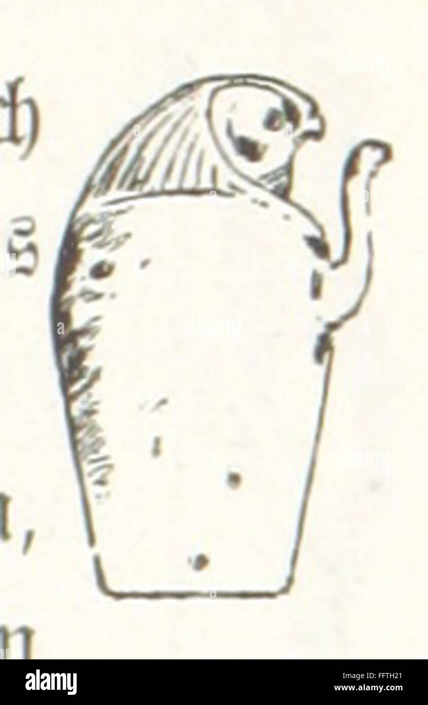 'Nilfahrt,' with illustrations by R. Mainella, provides a vivid ...