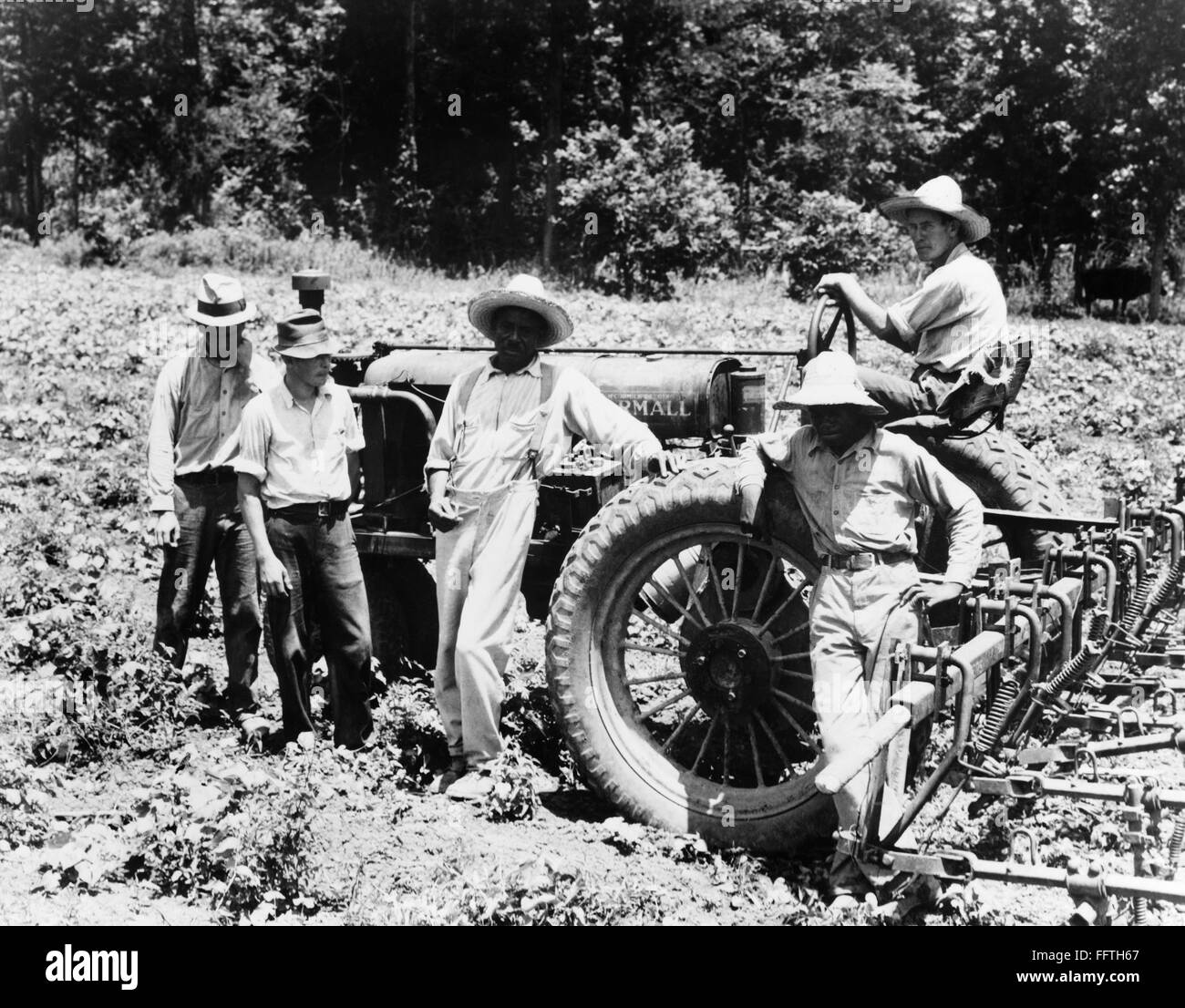 COOPERATIVE FARMERS, 1937. /nFormer sharecroppers farming cotton on the ...