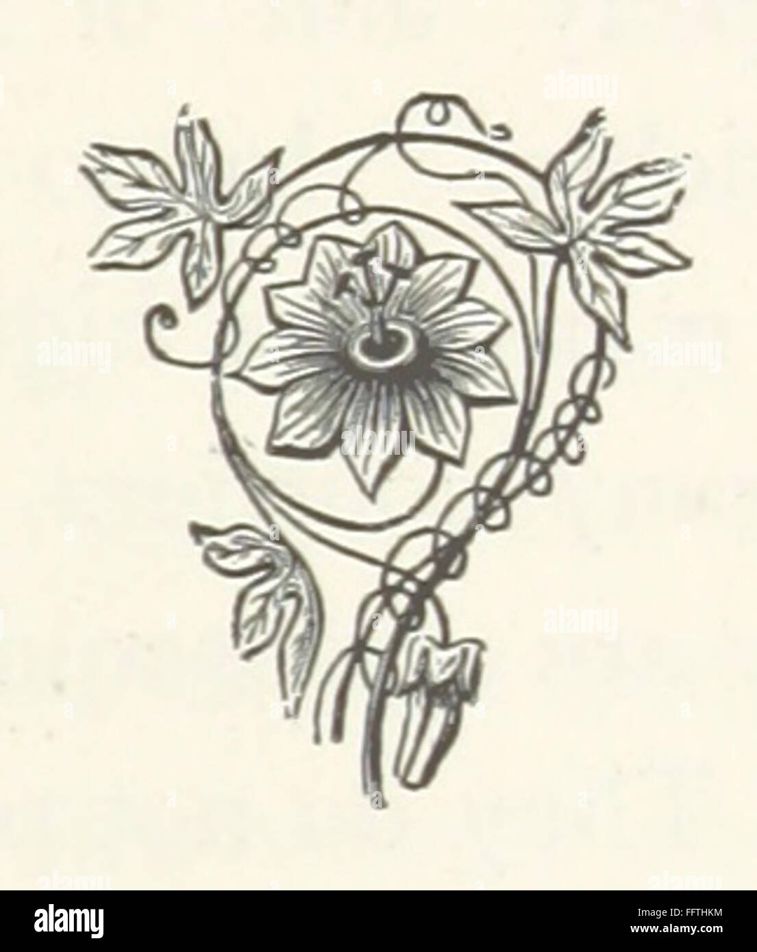 'An American Duchess' is a romantic novel that explores the life of an ...