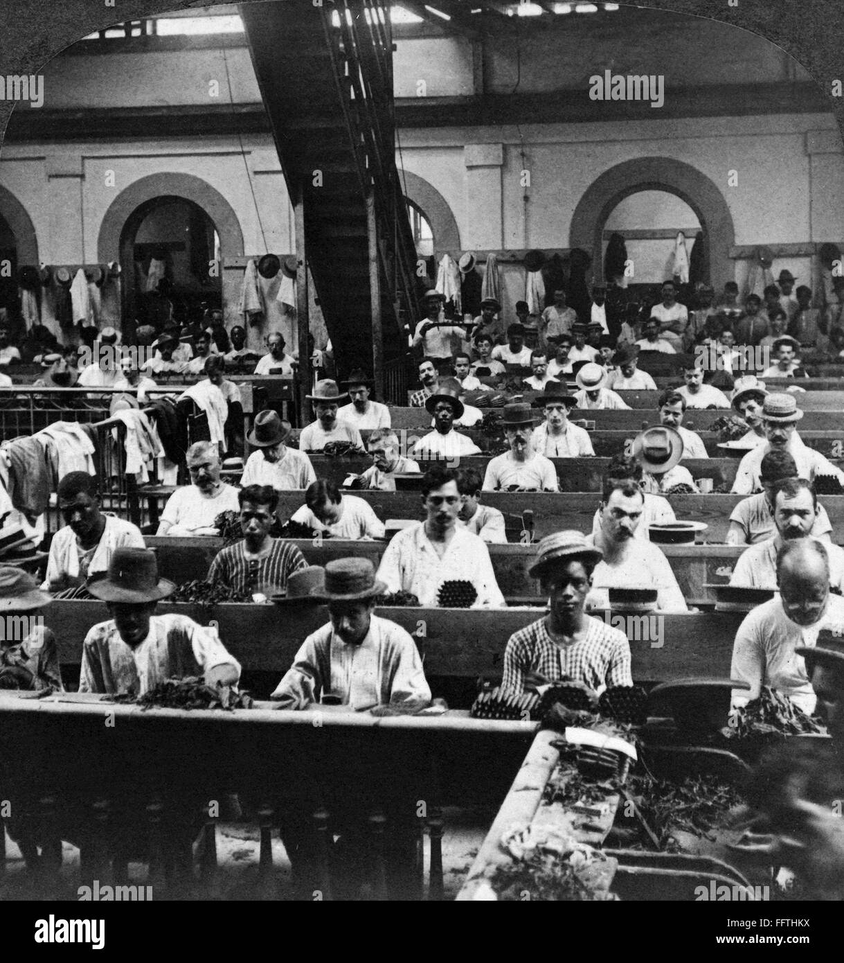 CUBA: CIGAR FACTORY, c1903. /nRows of men hand rolling tobacco into ...
