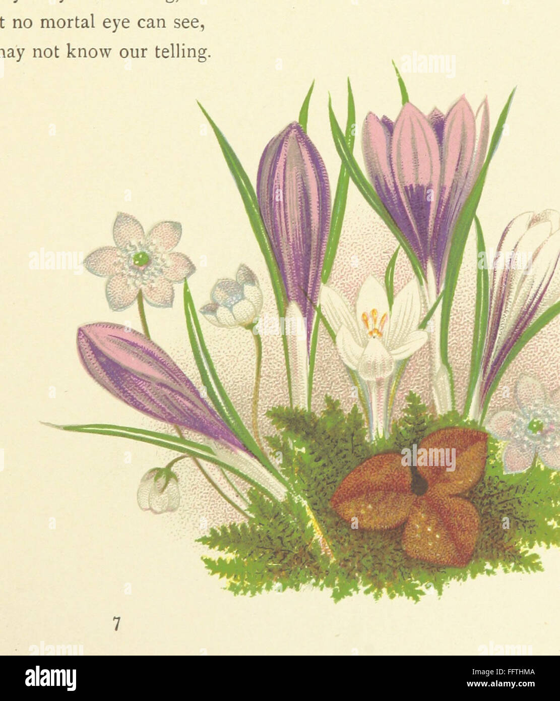 This poetry collection, 'A Dream of a Garden', includes poems inspired ...