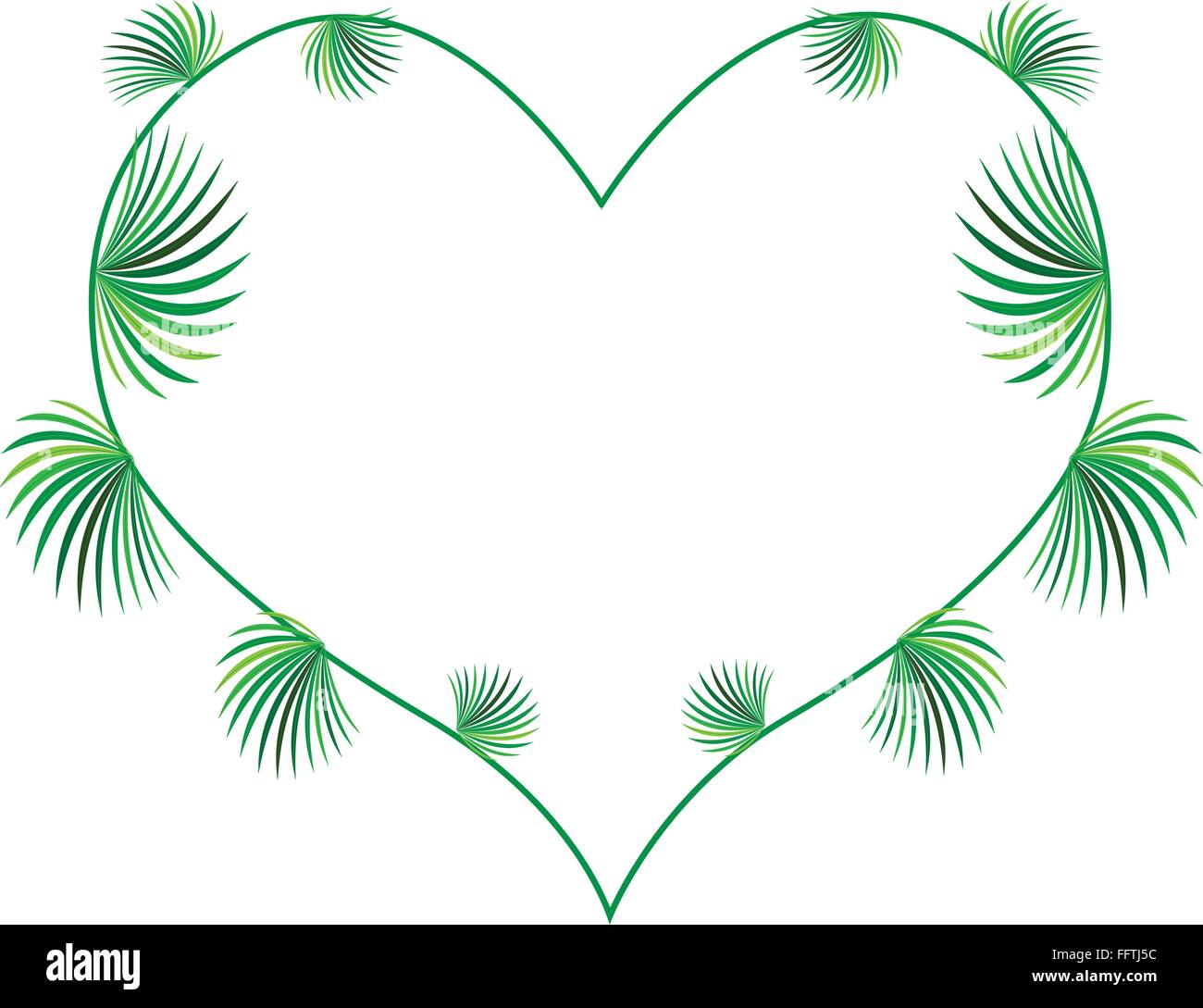 Love Concept, Illustration of Lady Palm Leaves or Rhapis Palm Leaves ...