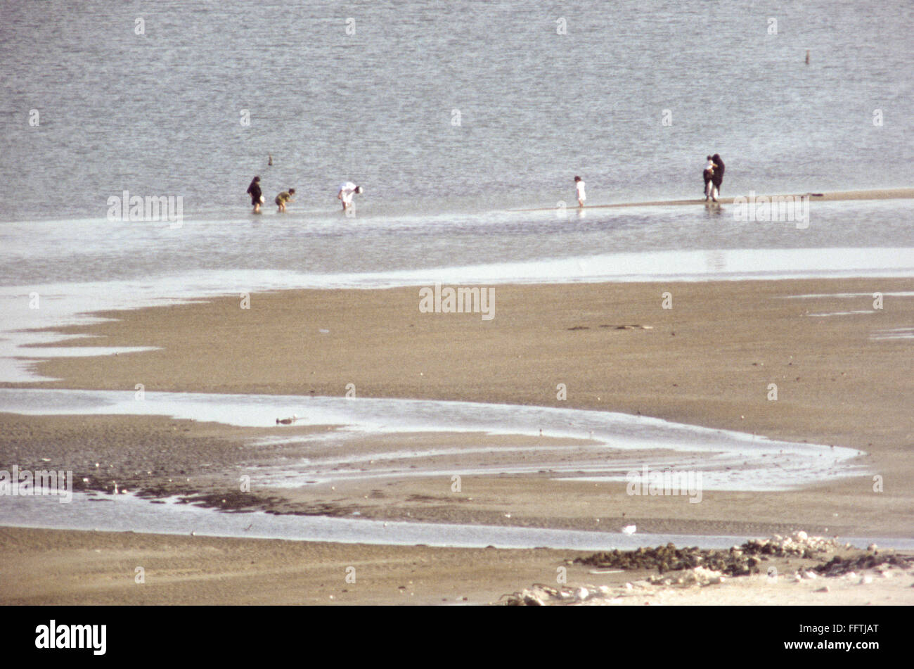 The beach at Al Khobar, Saudi Arabia Stock Photo - Alamy