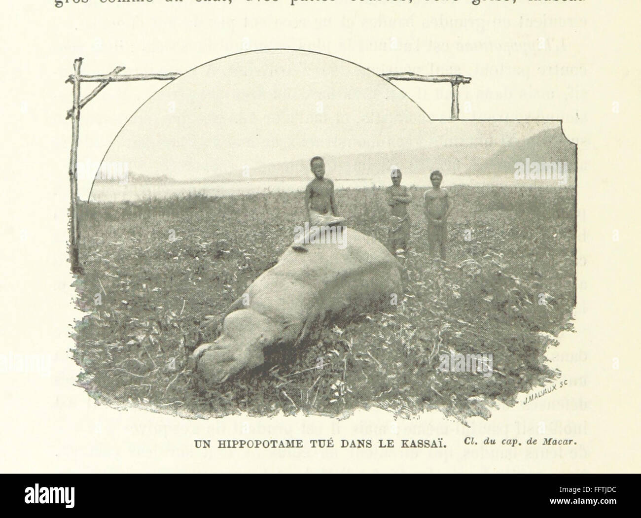 This book offers a comprehensive examination of the Congo, covering its ...