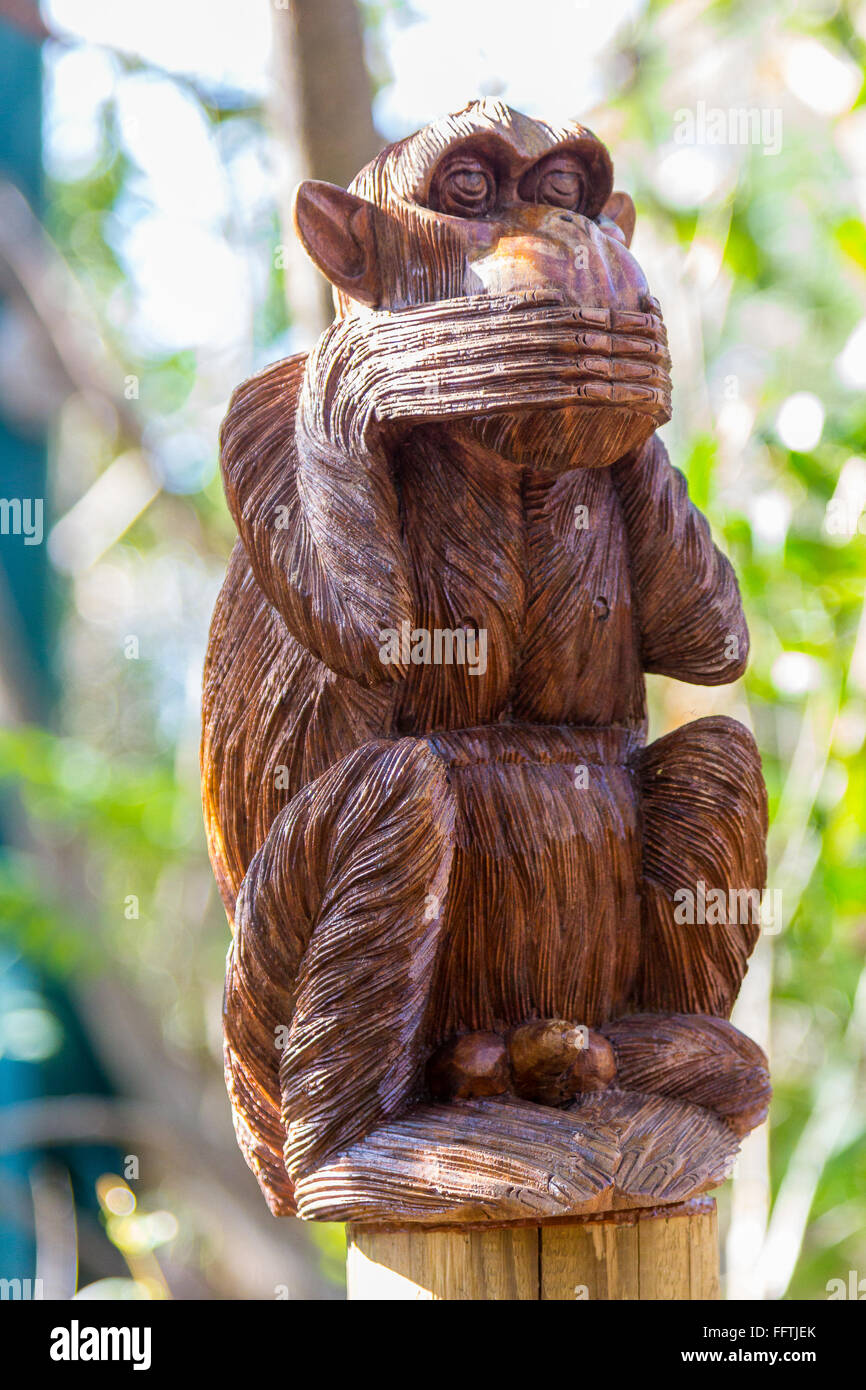 Covering her mouth hi-res stock photography and images - Alamy