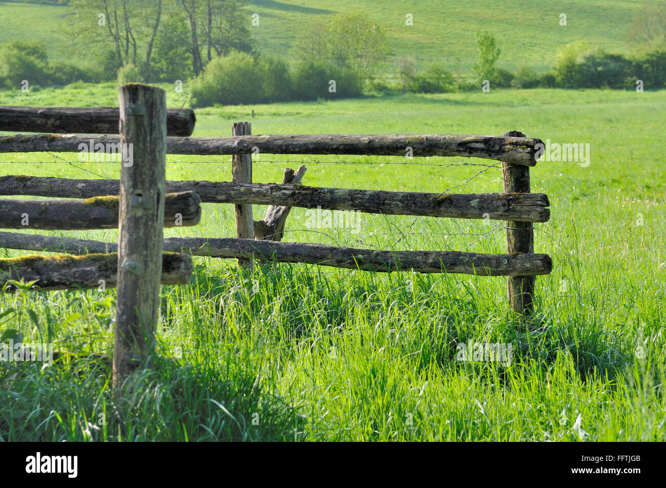 Meadow fence hi-res stock photography and images - Alamy