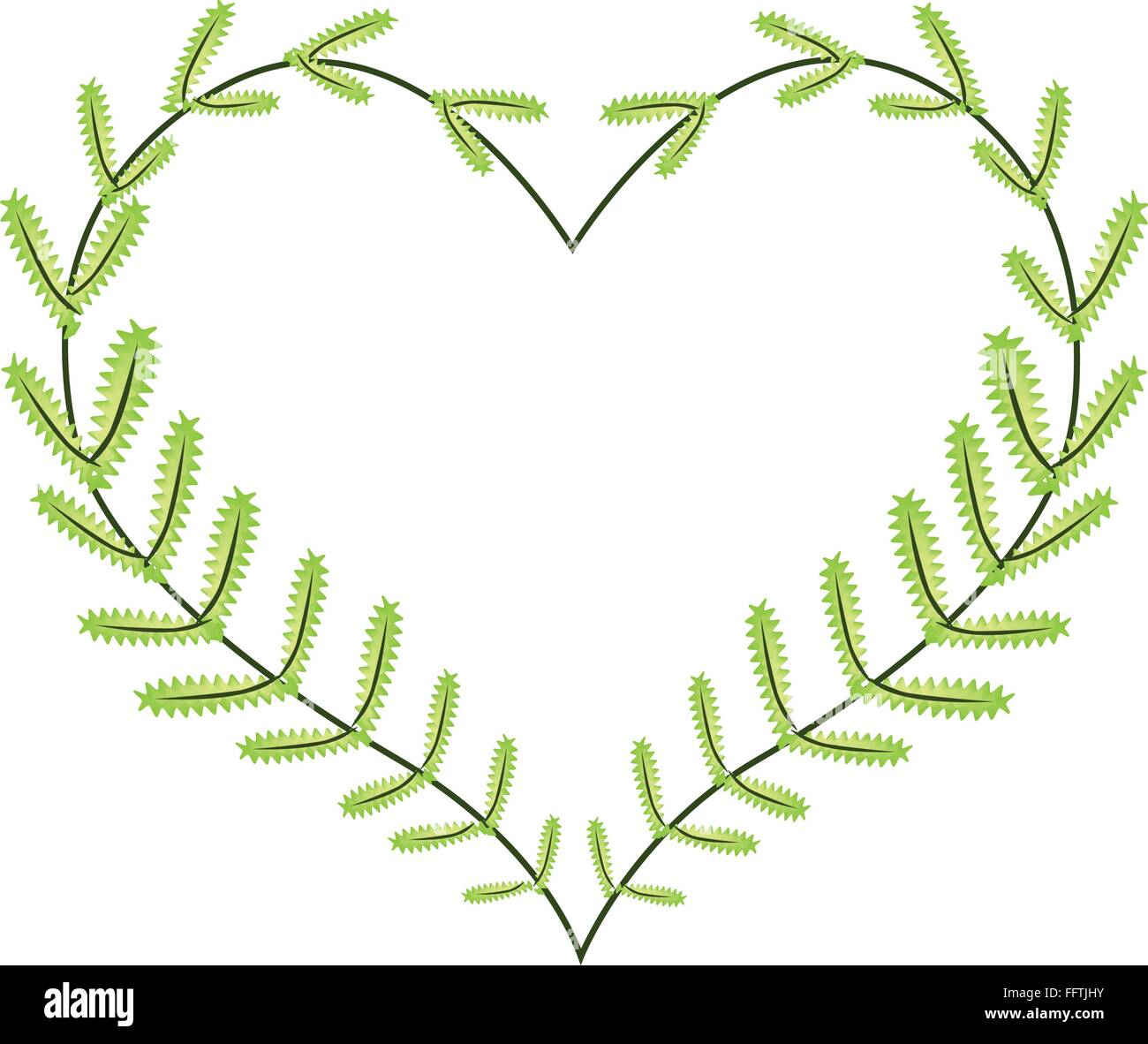 Love Concept, Illustration of A Heart Shape Frame Made of Fresh Leafy ...