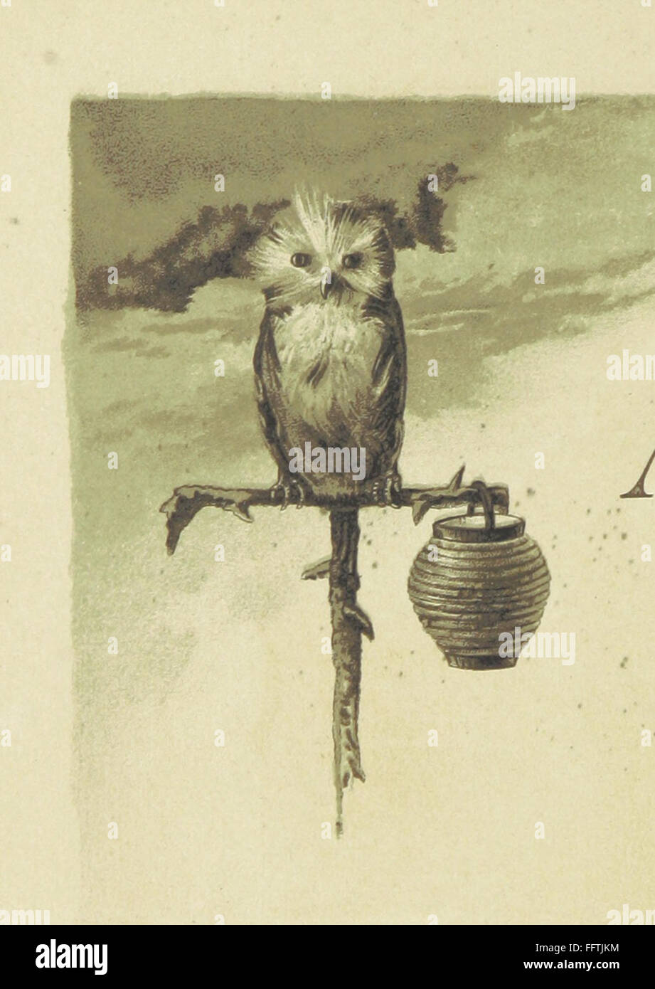 'Cherry Cheeks and Roses' is a vintage collection of verse poetry ...