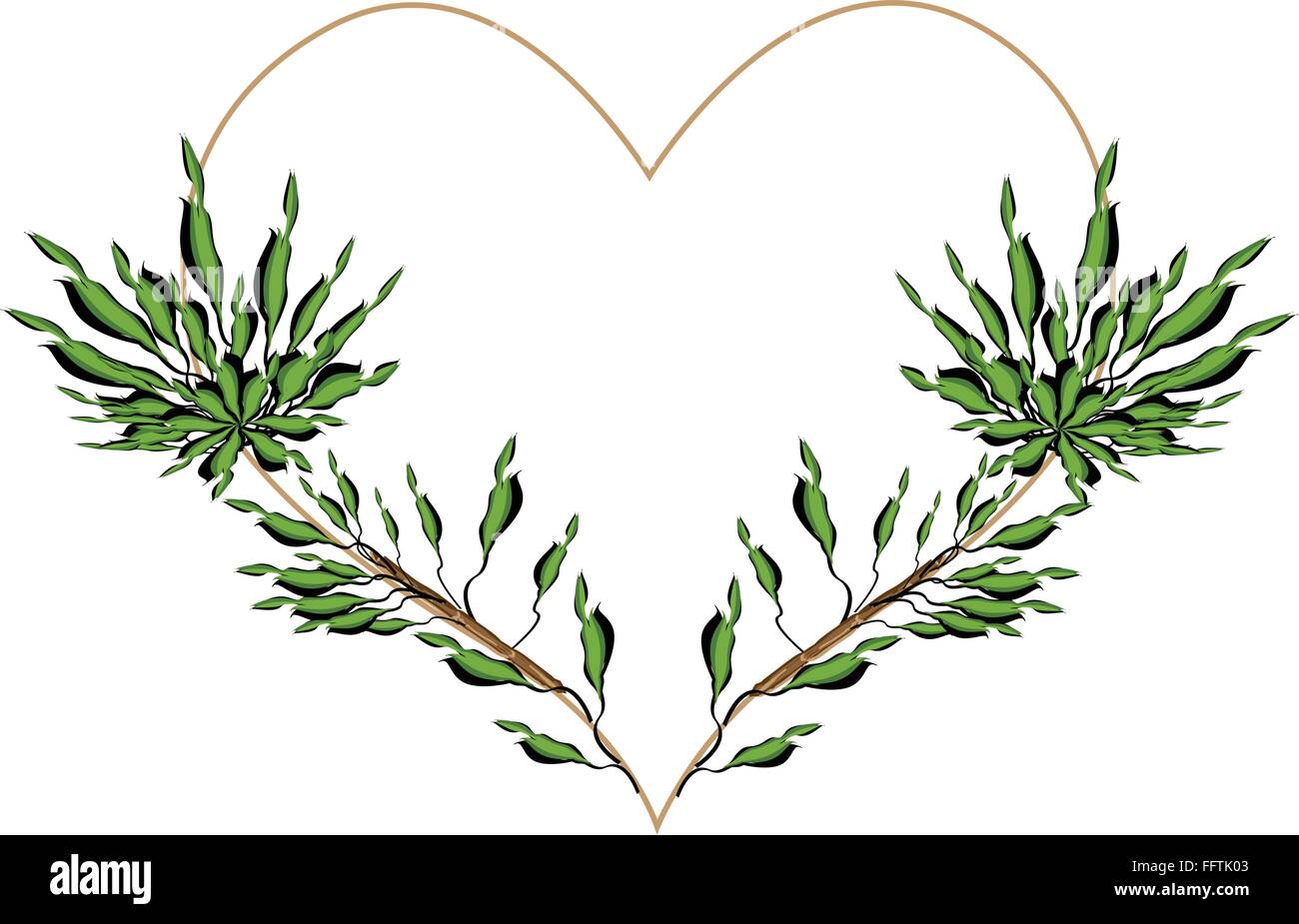 Agave plant leaves on Stock Vector Images - Alamy