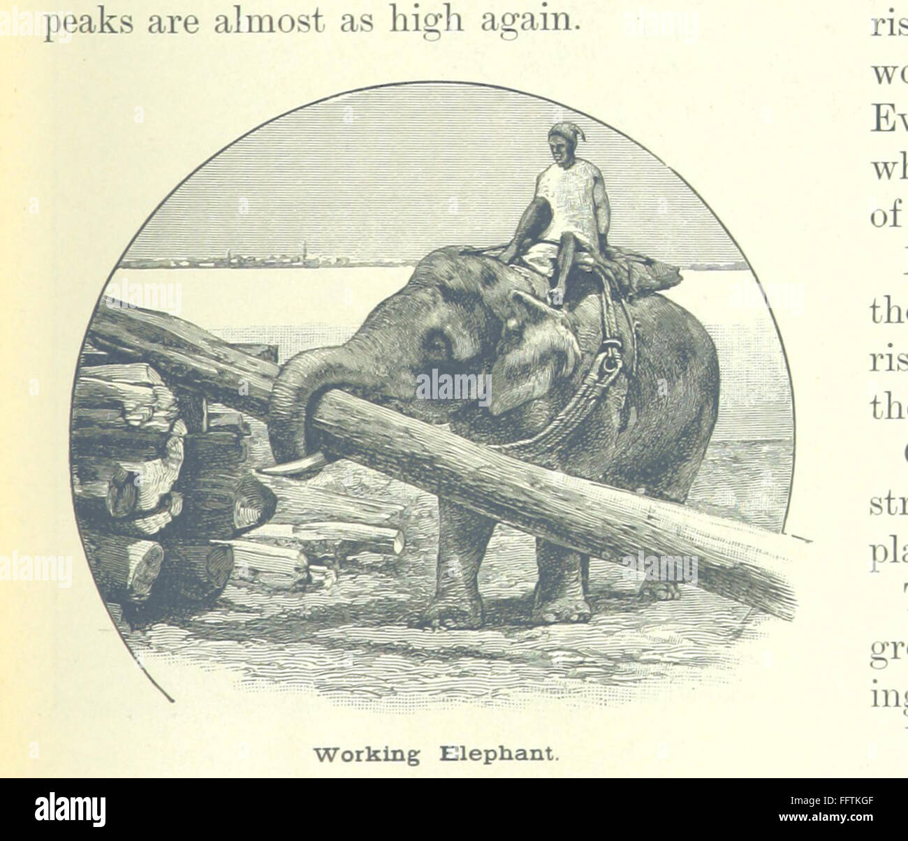 Primary Geography Introduces Young Readers To The Fundamental