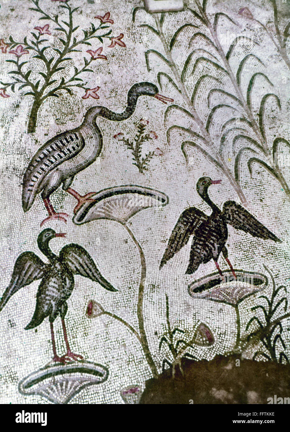 EARLY CHRISTIAN MOSAIC. /nMosaic of waterbirds among plants. Detail ...