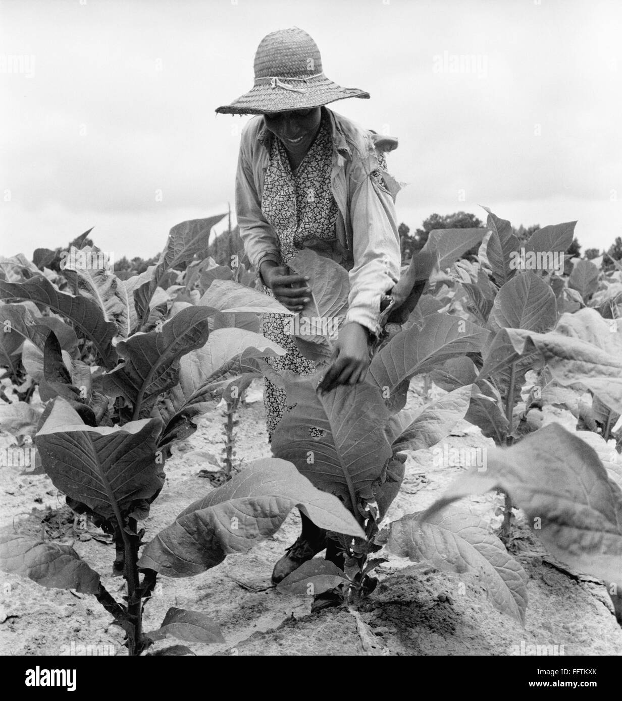 SHARECROPPER, 1939. /nThe daughter of an African American sharecropper ...