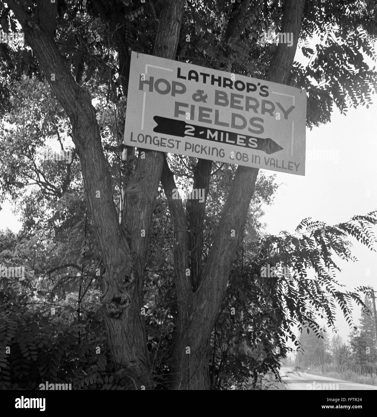 ROADSIDE SIGN, 1939. /nA sign off U.S. Highway 99 in Josephine County ...