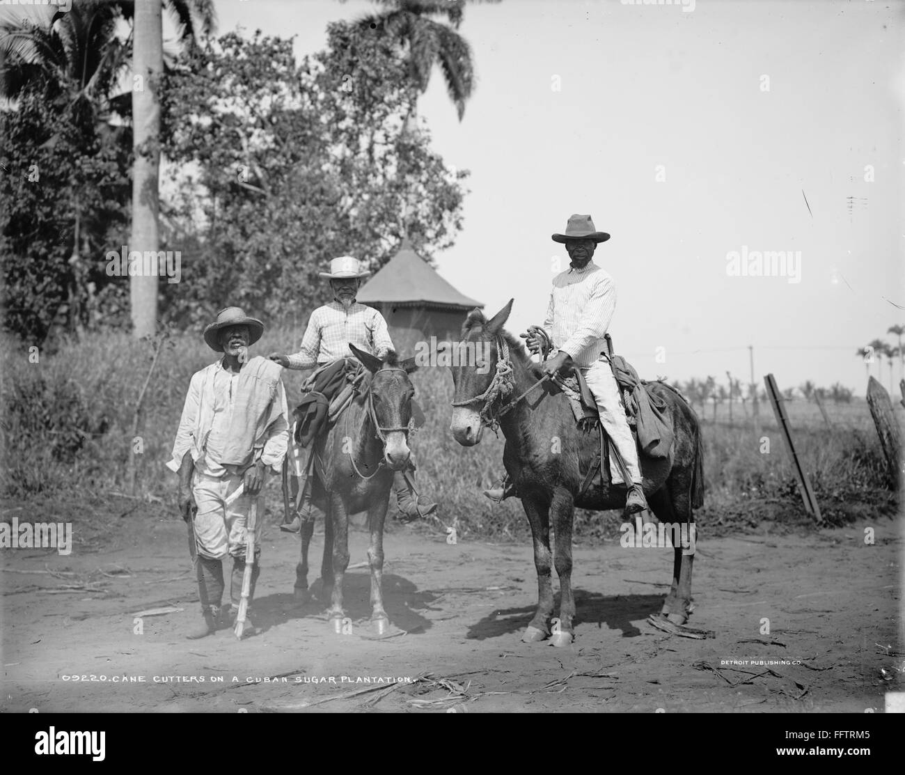 CUBA: SUGAR PLANTATION. /nThree cane cutters on a Cuban sugar ...