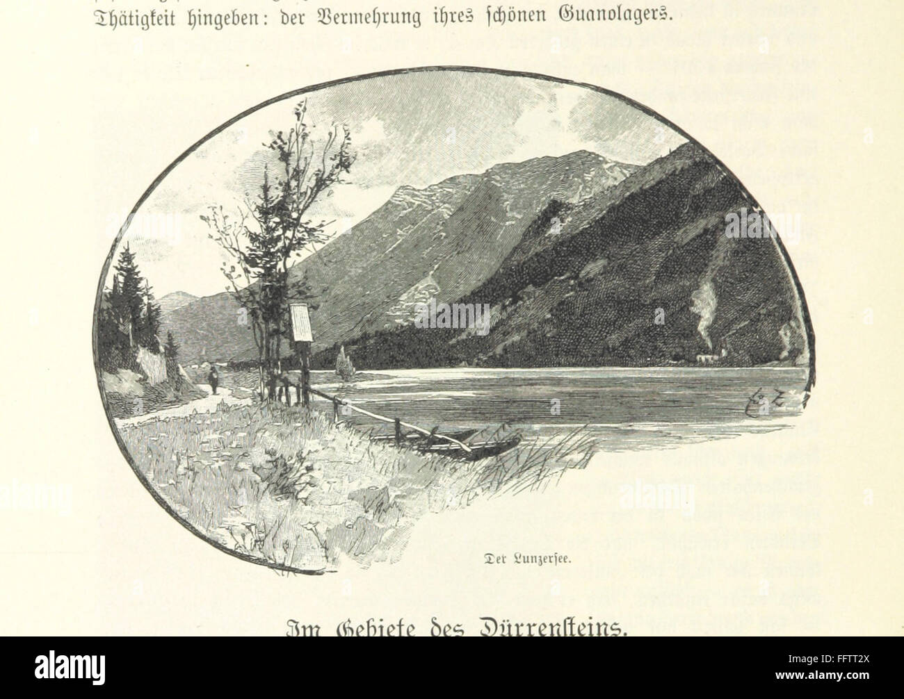 This vintage book offers detailed descriptions and illustrations of the ...