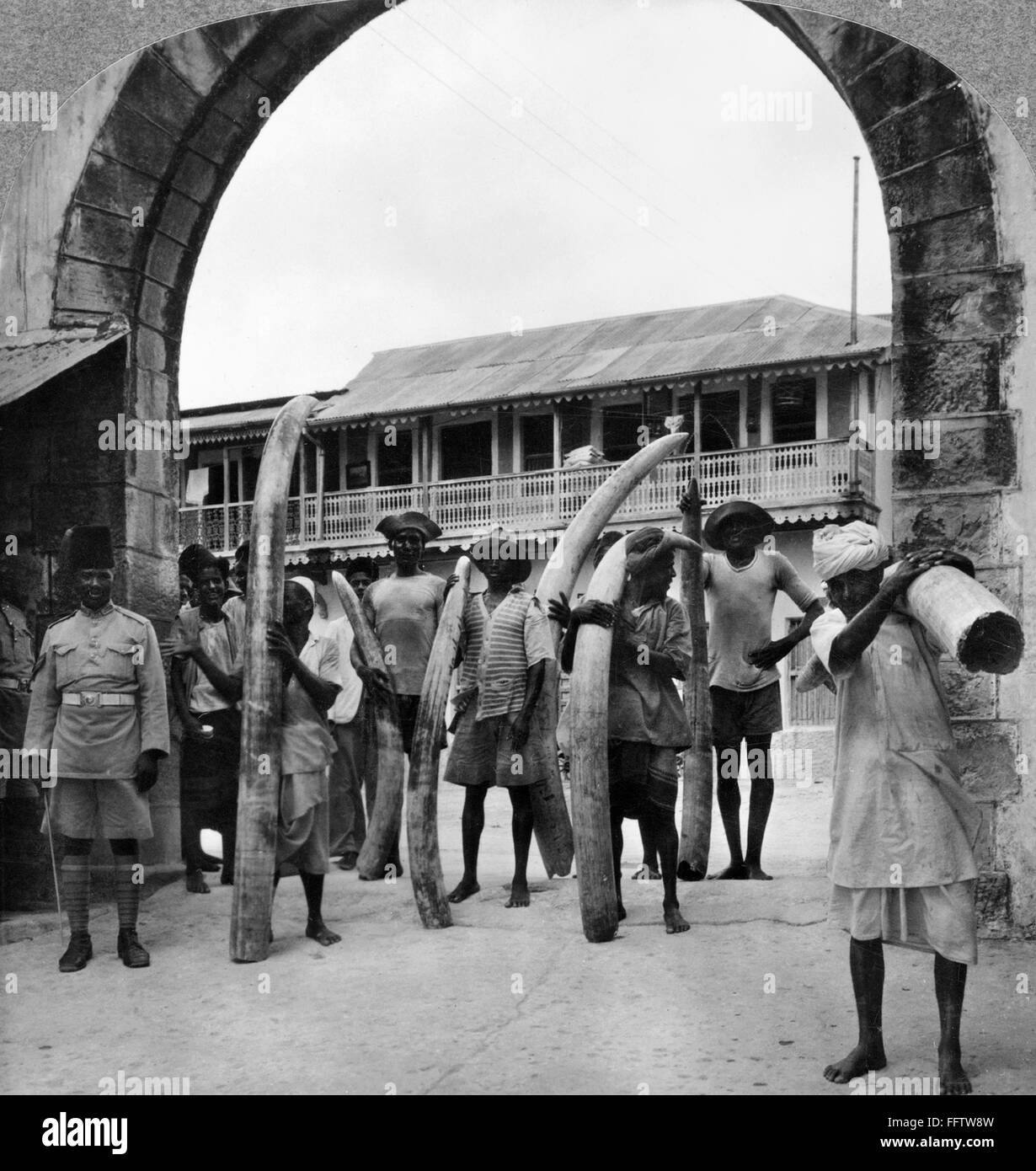 KENYA: IVORY TRADE, c1935. /nMen holding ivory tusks, about to be ...