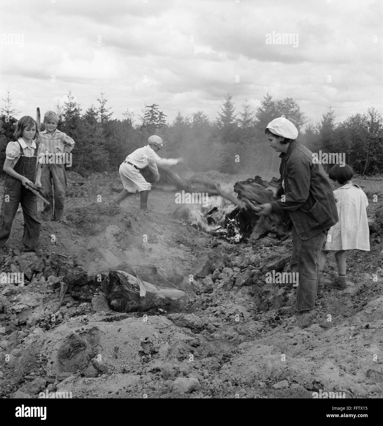 FARM FAMILY, 1939. /nA family gathering debris, roots and chunks from ...