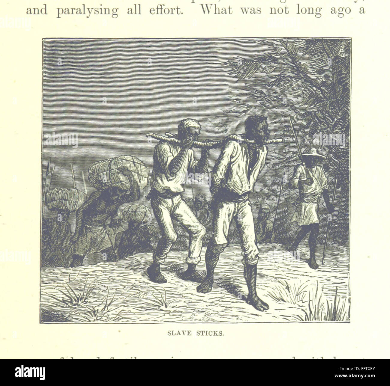 'Great Explorers of Africa' highlights the journeys of key explorers ...