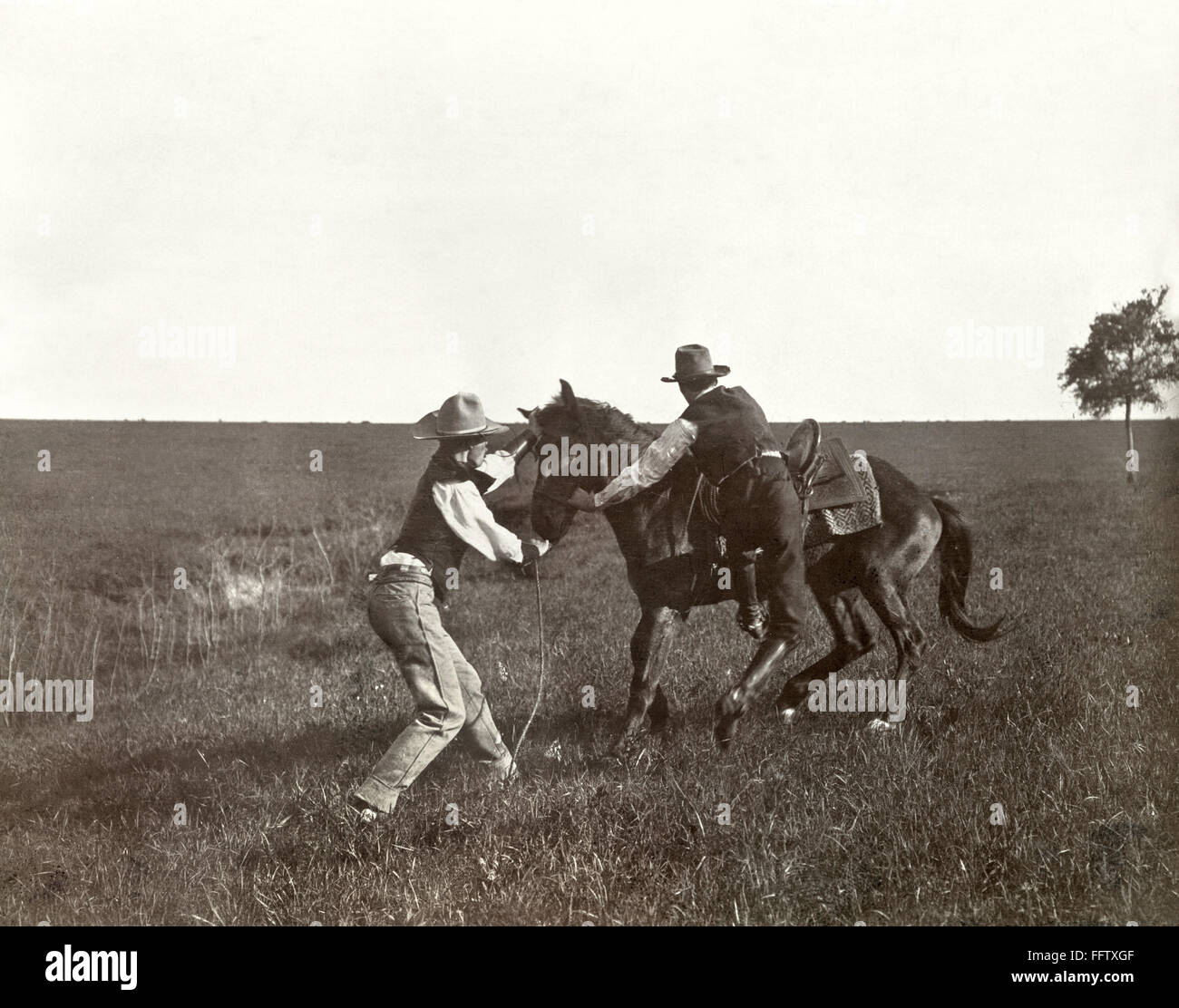 TEXAS: COWBOYS, c1908. /nA cowboy trying to mount a bronco while ...