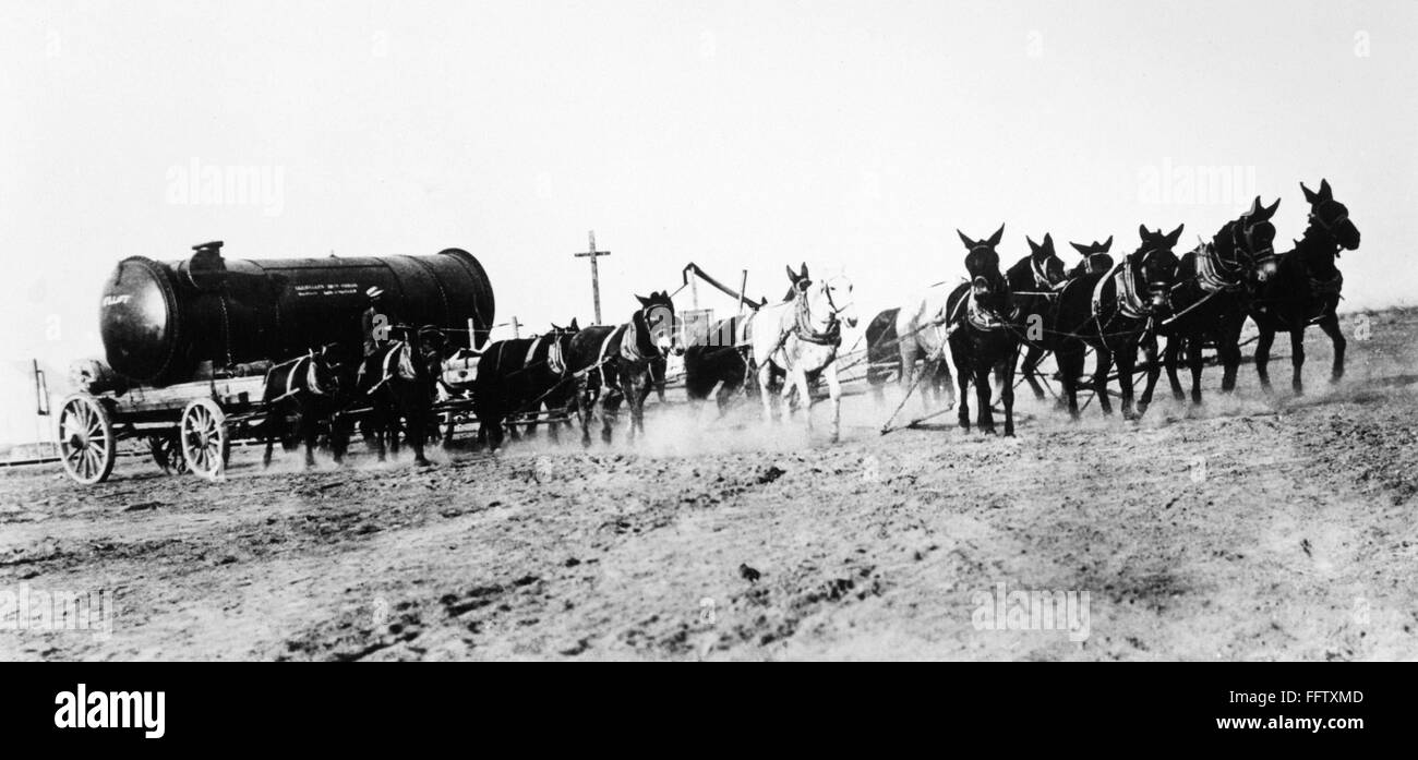 EARLY OIL PIPELINE. /nMule team used by Shell Oil Company in the ...