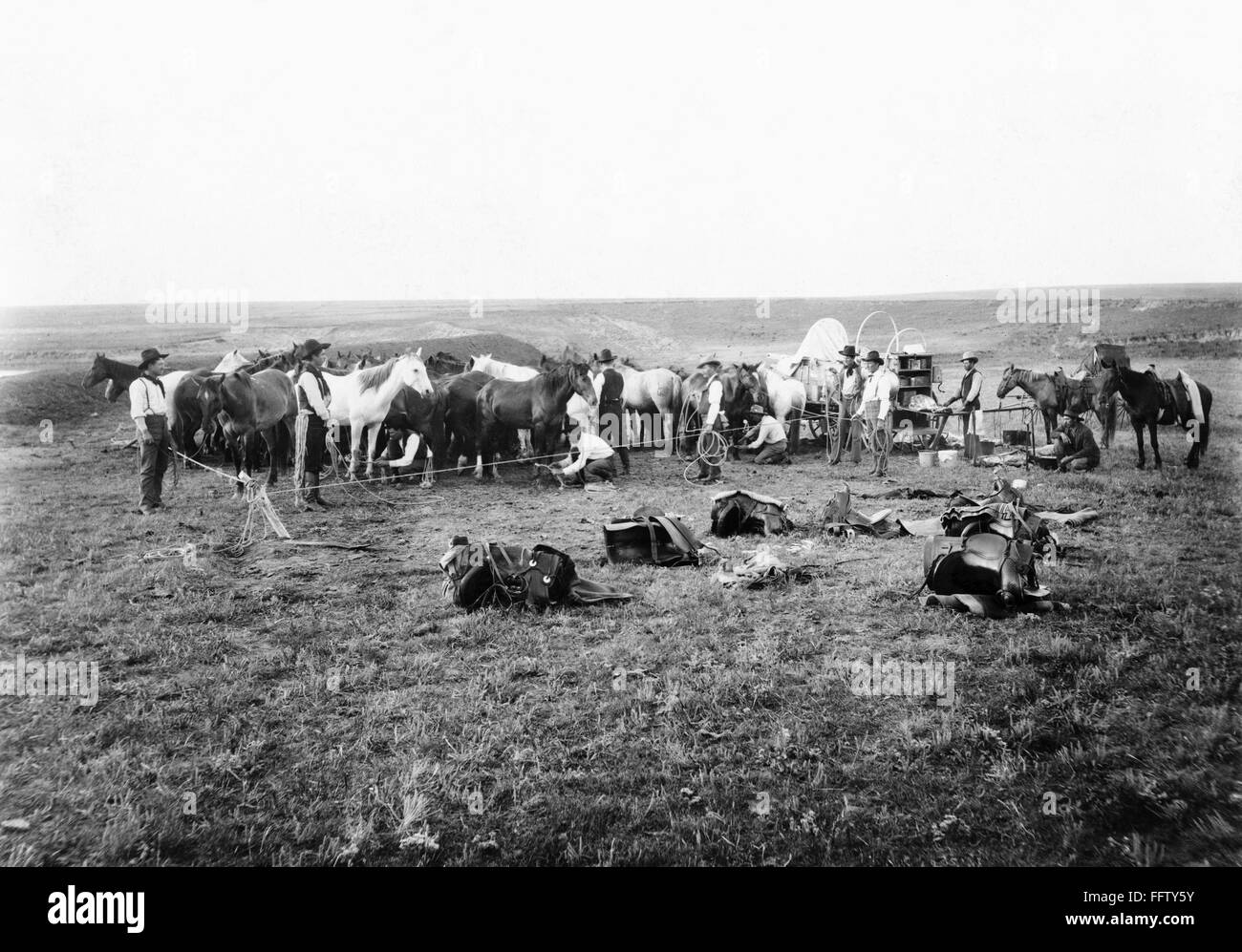 Cowboy herding horses on range hi-res stock photography and images - Alamy