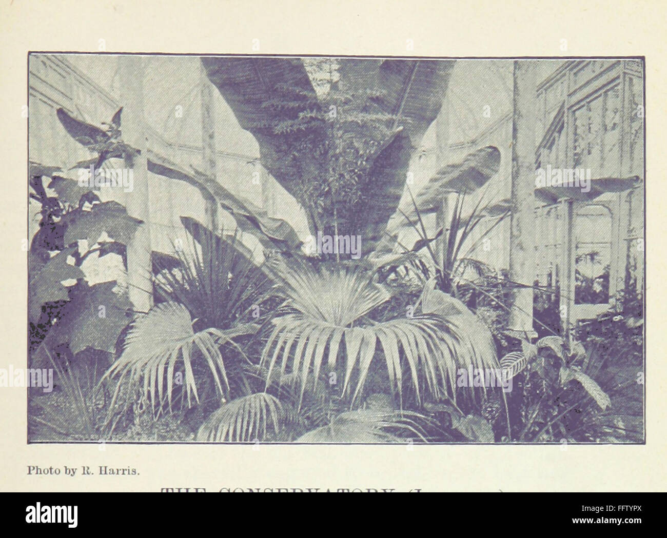 This vintage guidebook provides an illustrated overview of Port ...