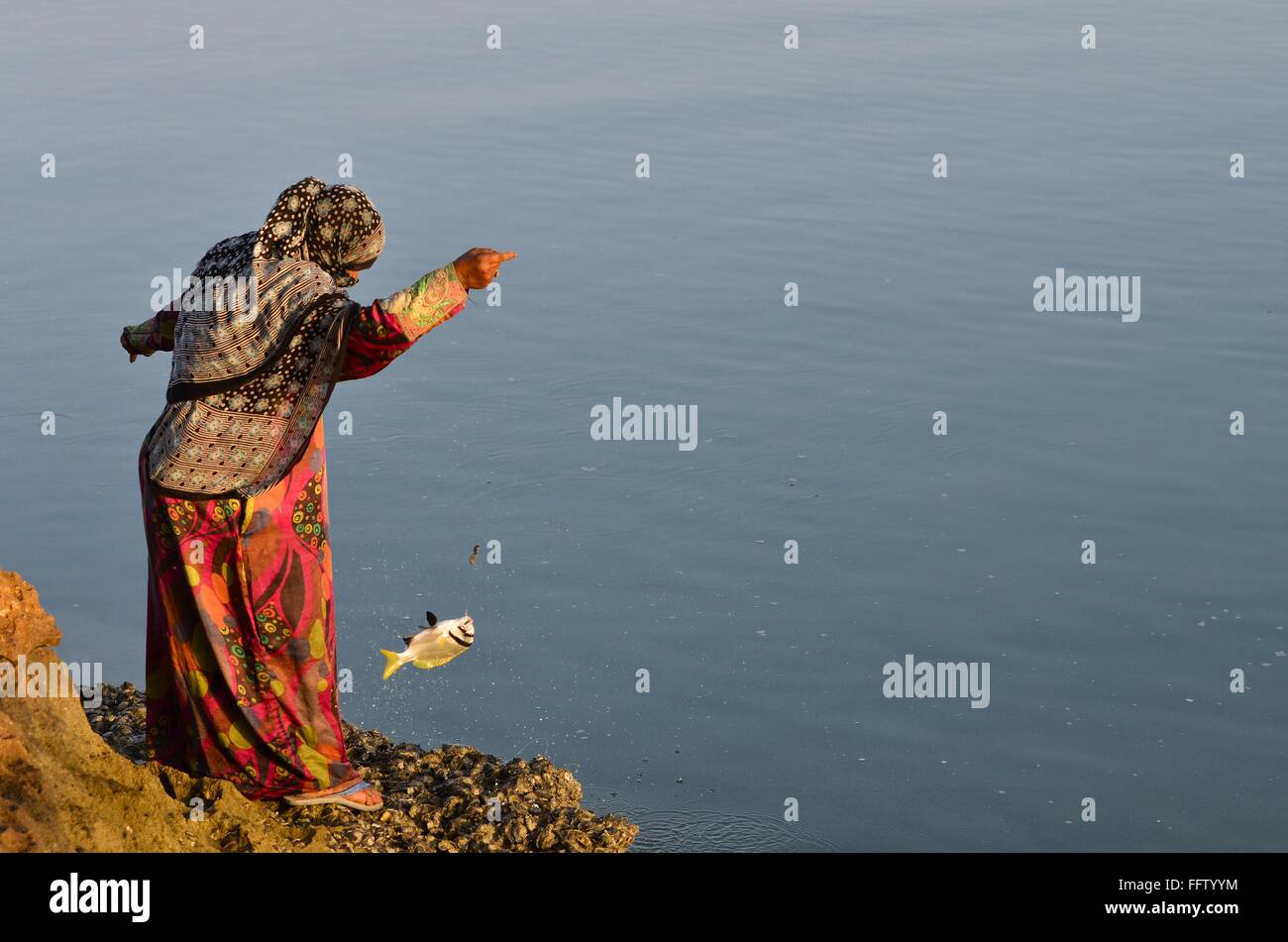 A love song to Socotra Island "Yemeni Women with Fighting Spirits" - 08 ...