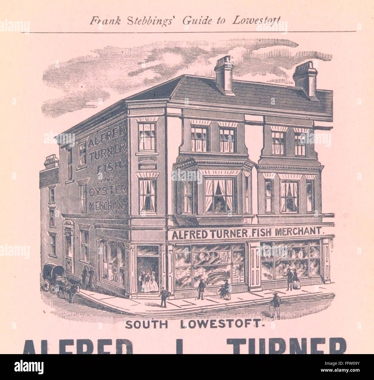 F. Stebbings' Illustrated Guide provides a comprehensive look at ...