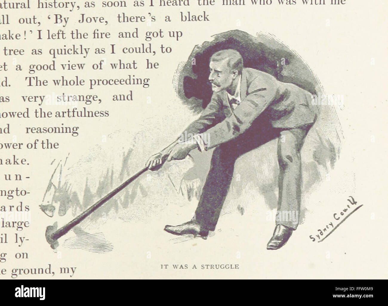 *A Ramble round the Globe* is a travel narrative chronicling the author ...