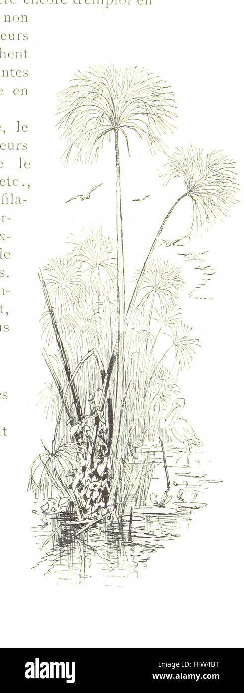 This book examines the connection between the Congo and Belgium ...