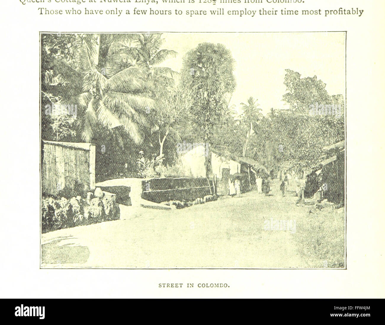 The Orient Line Guide provides essential travel information for ...