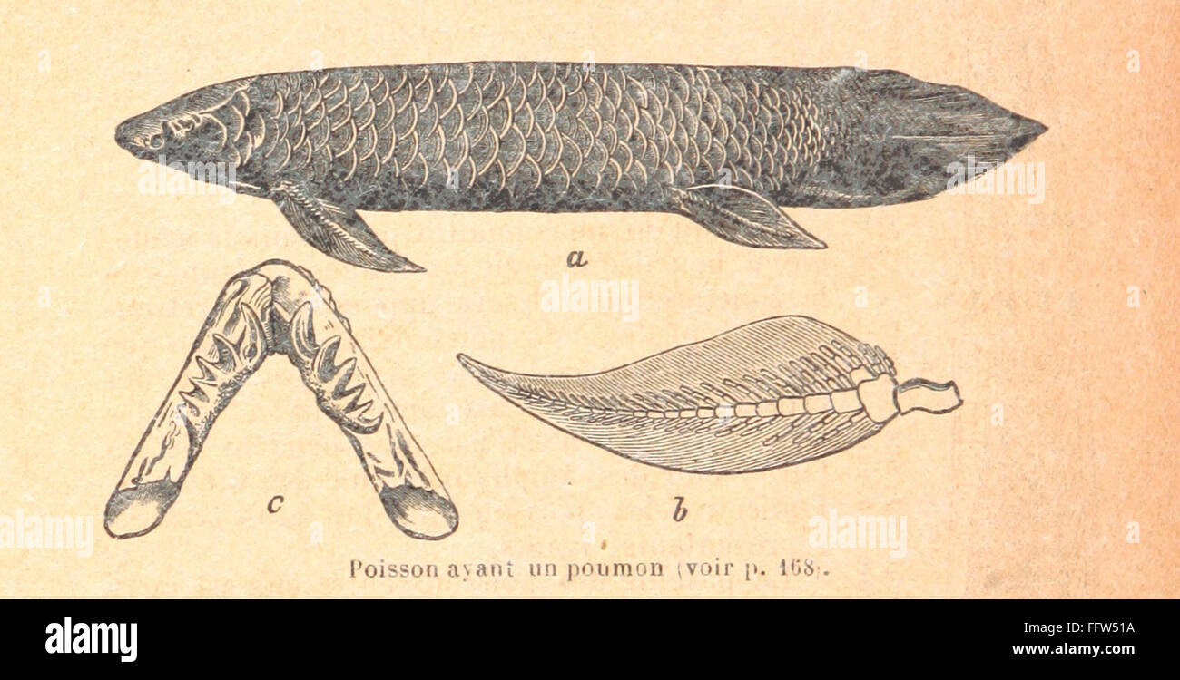 This historical account covers the evolution of the world and its ...