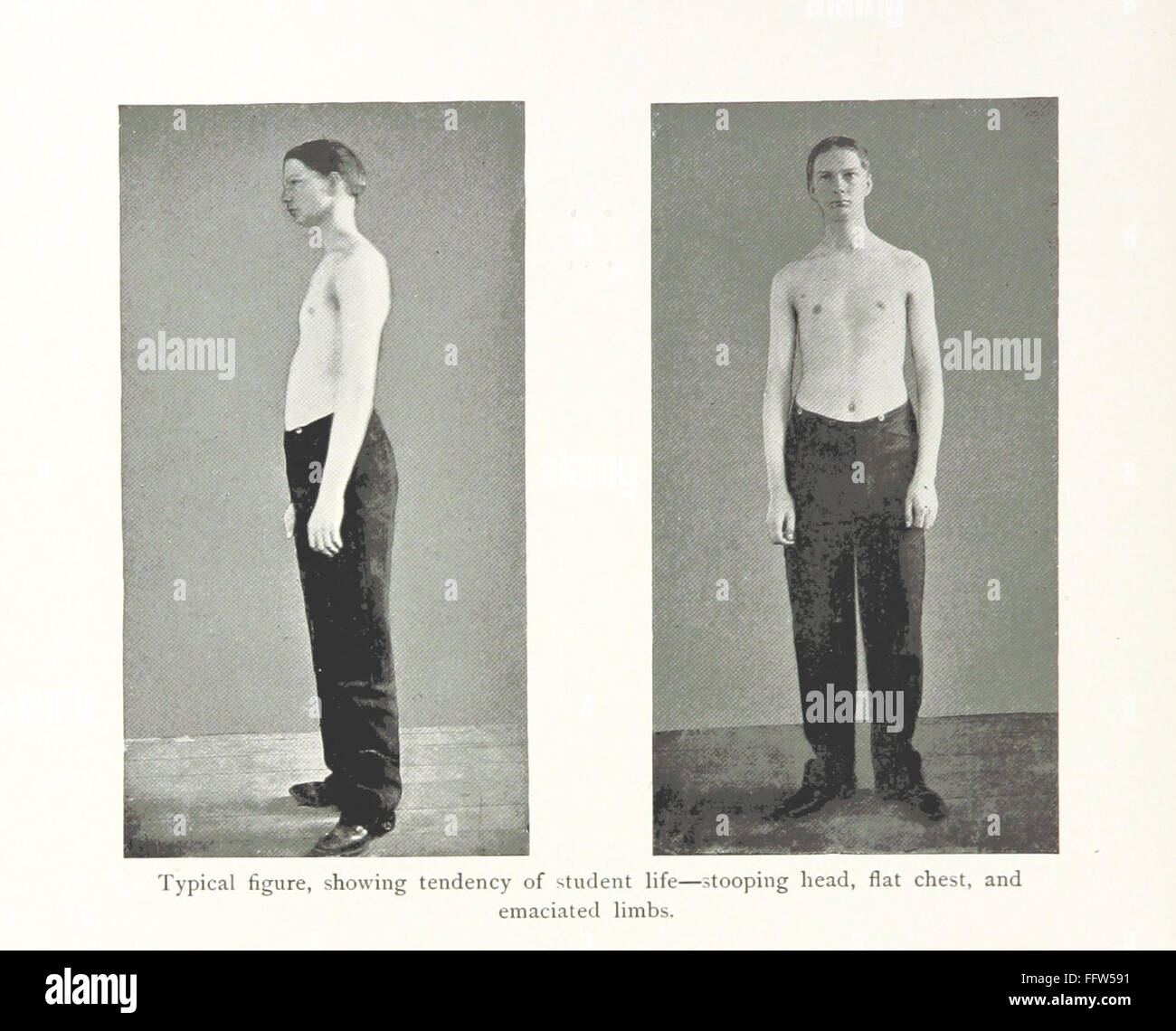 'The United States of America' explores the development of the American ...