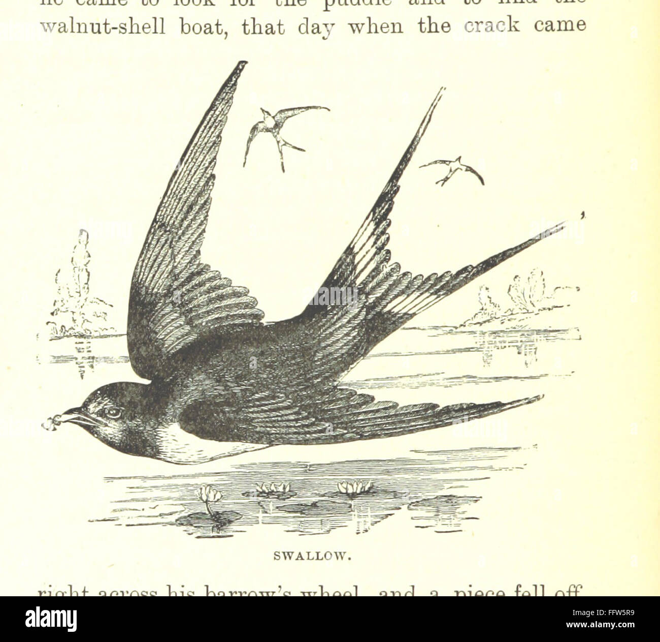 This book explores the themes of confinement and limitation, both in ...