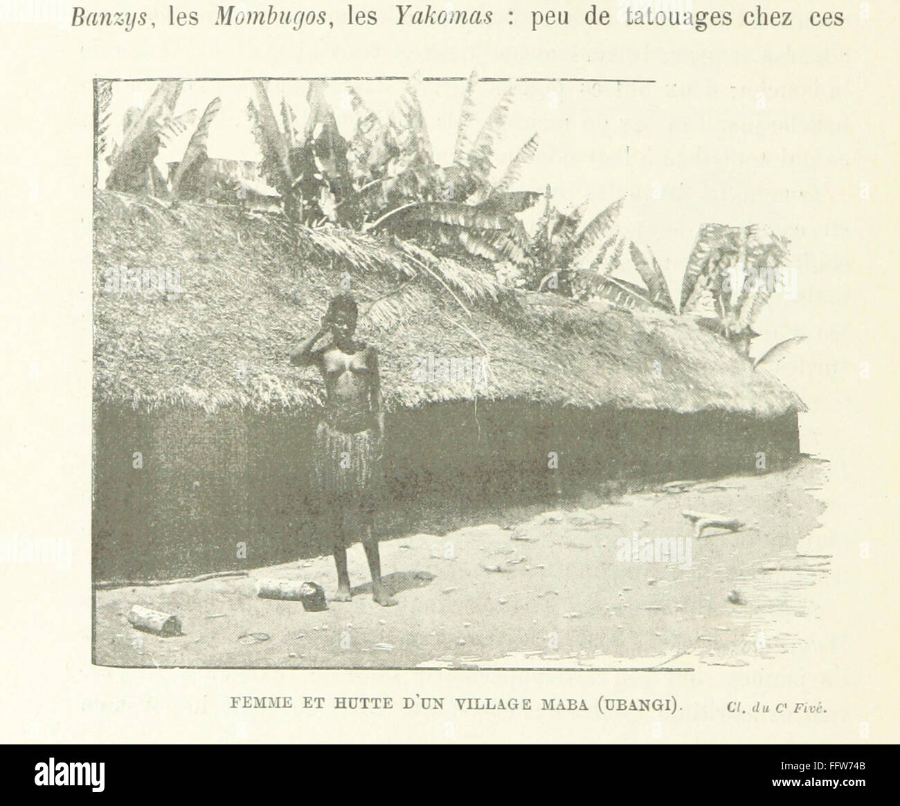 'Le Congo historique' is a detailed examination of the Congo, covering ...