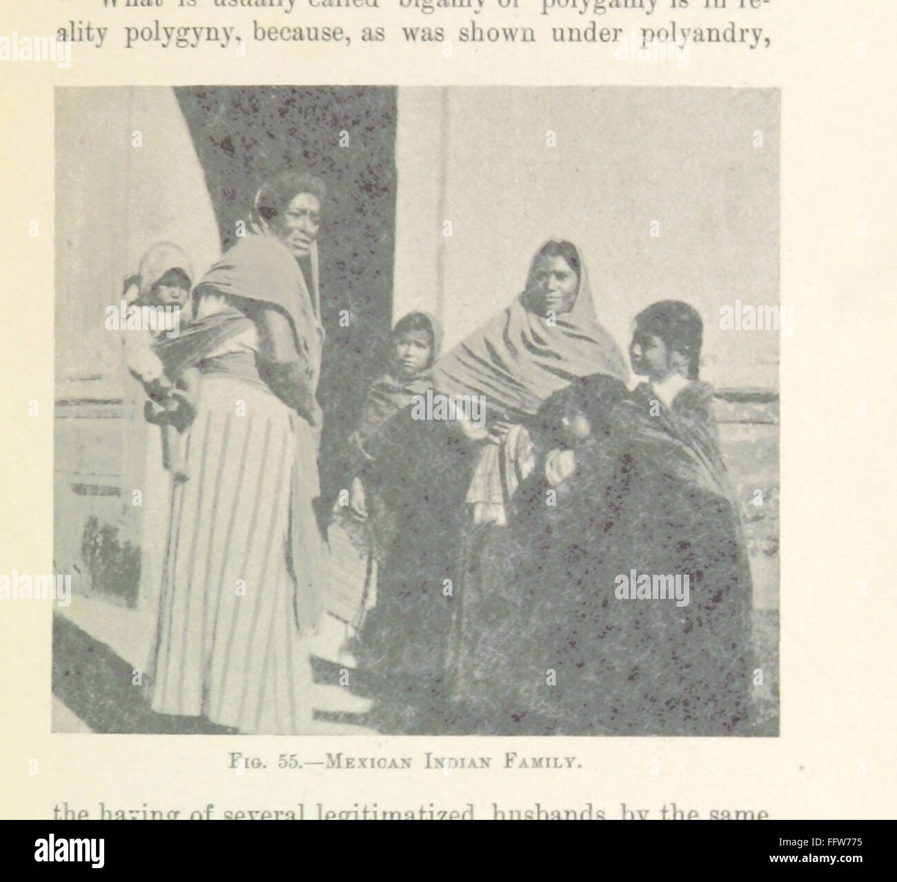 'The Anthropological Series,' edited by Professor F. Starr, offers in ...