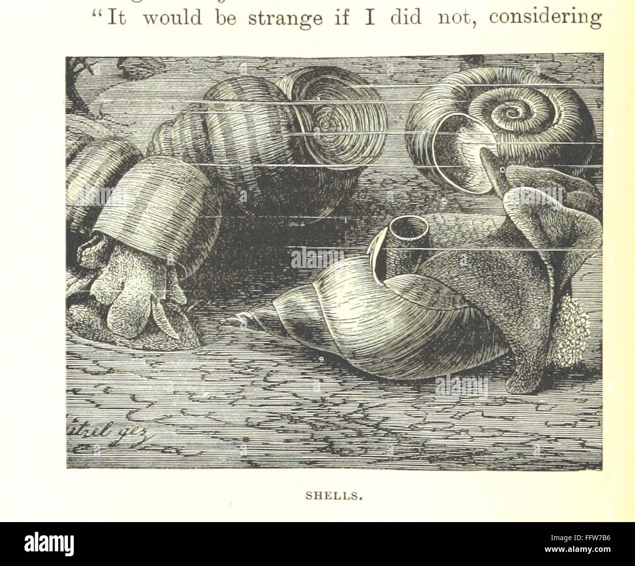 'A Narrow, Narrow World' explores the complexities of personal ...