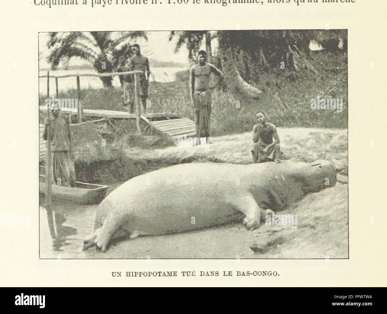 A comprehensive French-language work on the Congo, detailing its ...