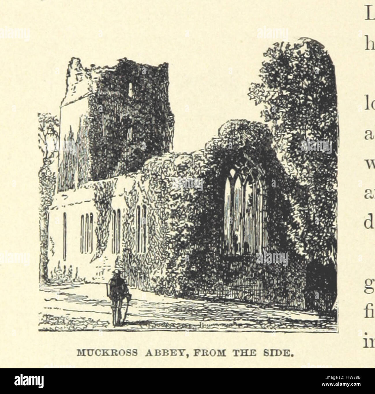 A historical account of Irish soldiers and their lives, providing ...