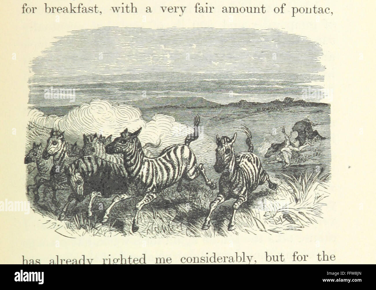 This book details hunting expeditions in Africa between 1852 and 1860 ...