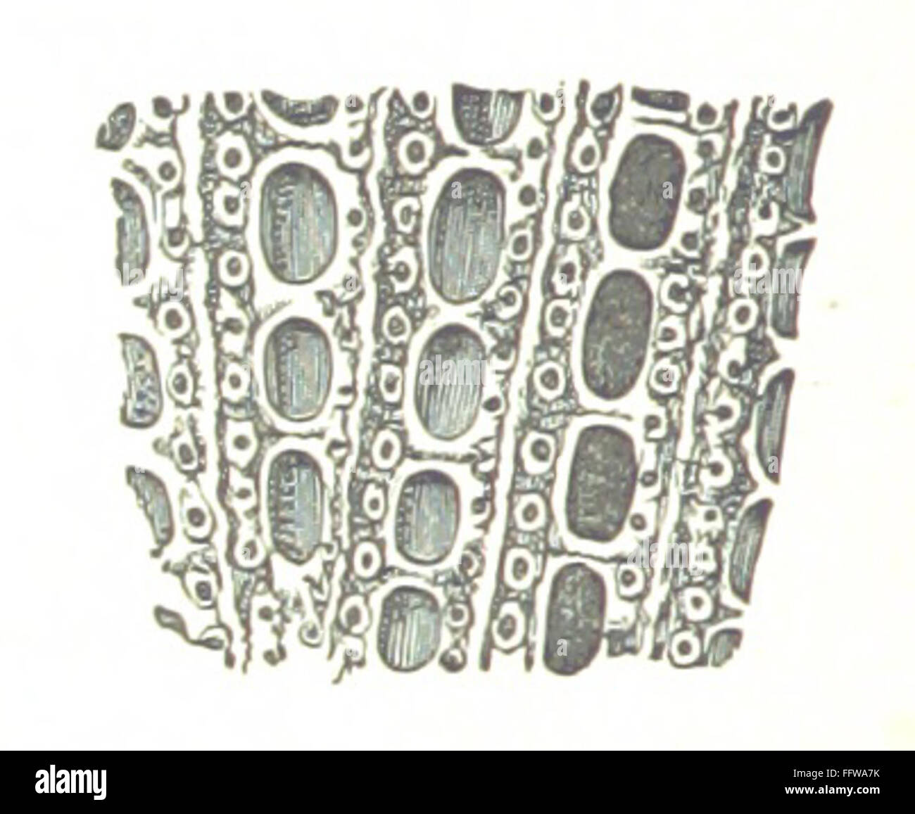 Calligraphy aids hi-res stock photography and images - Alamy