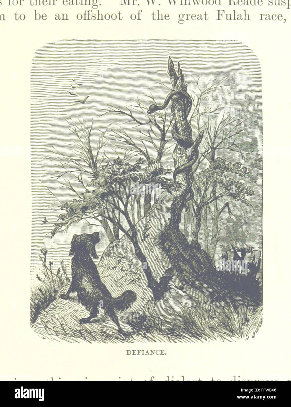 *Great Explorers of Africa* highlights notable African explorers and ...