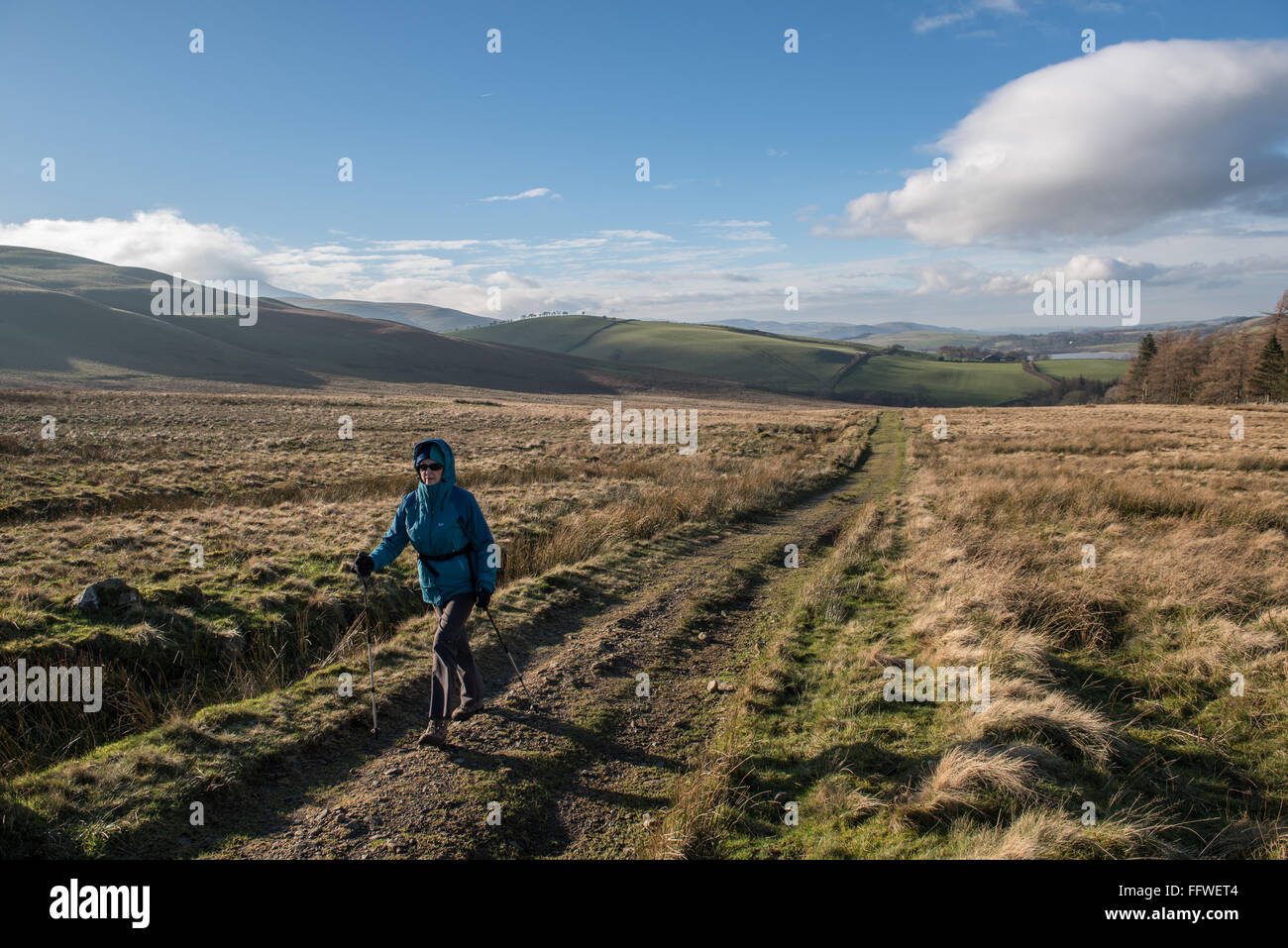 The Cumbria Way at Longlands Near Uldale Cumbria Stock Photo - Alamy