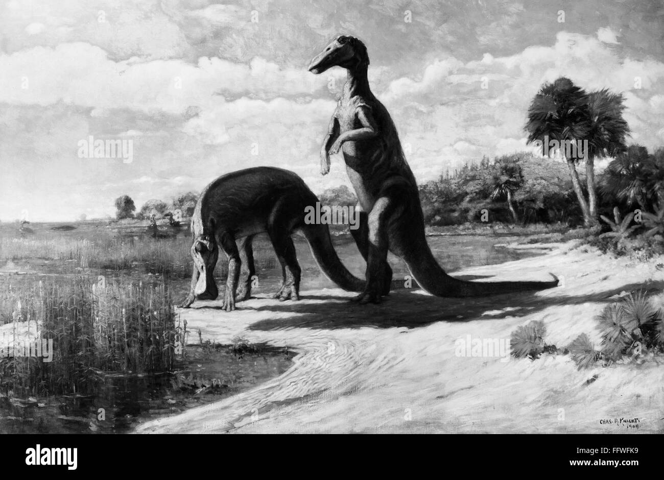 DINOSAURS: TRACHODON. /nTwo Trachodon at the water's edge. Painting ...