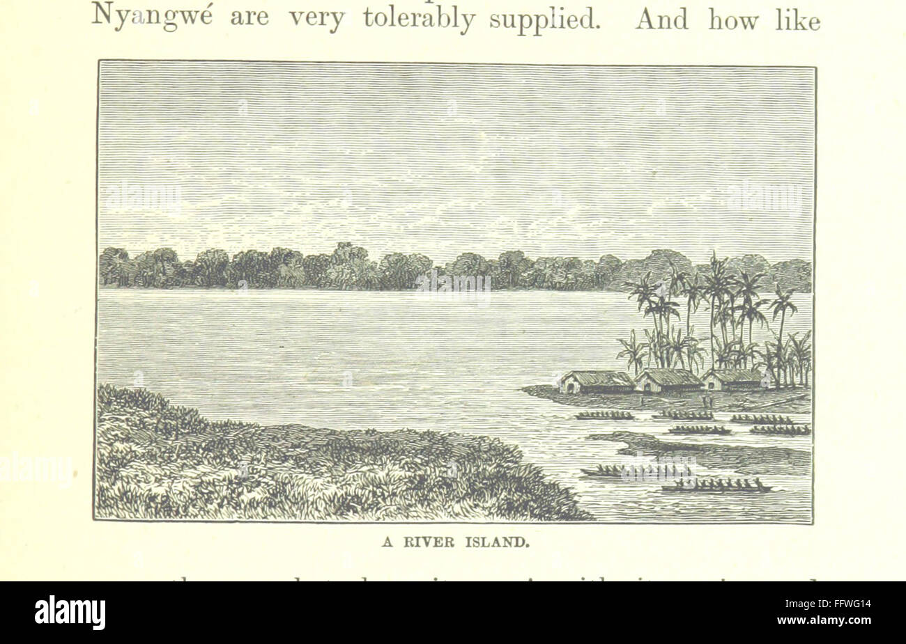 ‘Great Explorers of Africa’ highlights the key figures and explorations ...