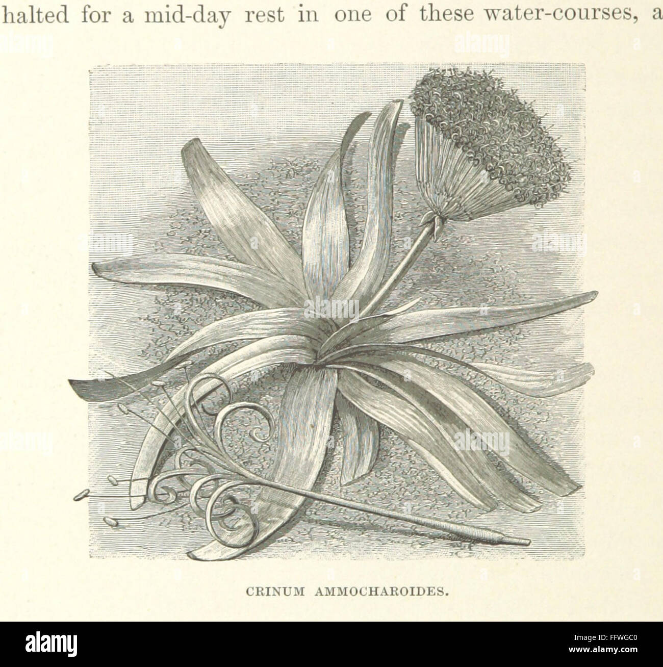 'Discovery of Lakes Rudolf and Stefanie' recounts the journey of Count ...